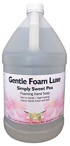 Dura Wax Gentle Foam Luxe Foaming Hand Soap Dura Wax